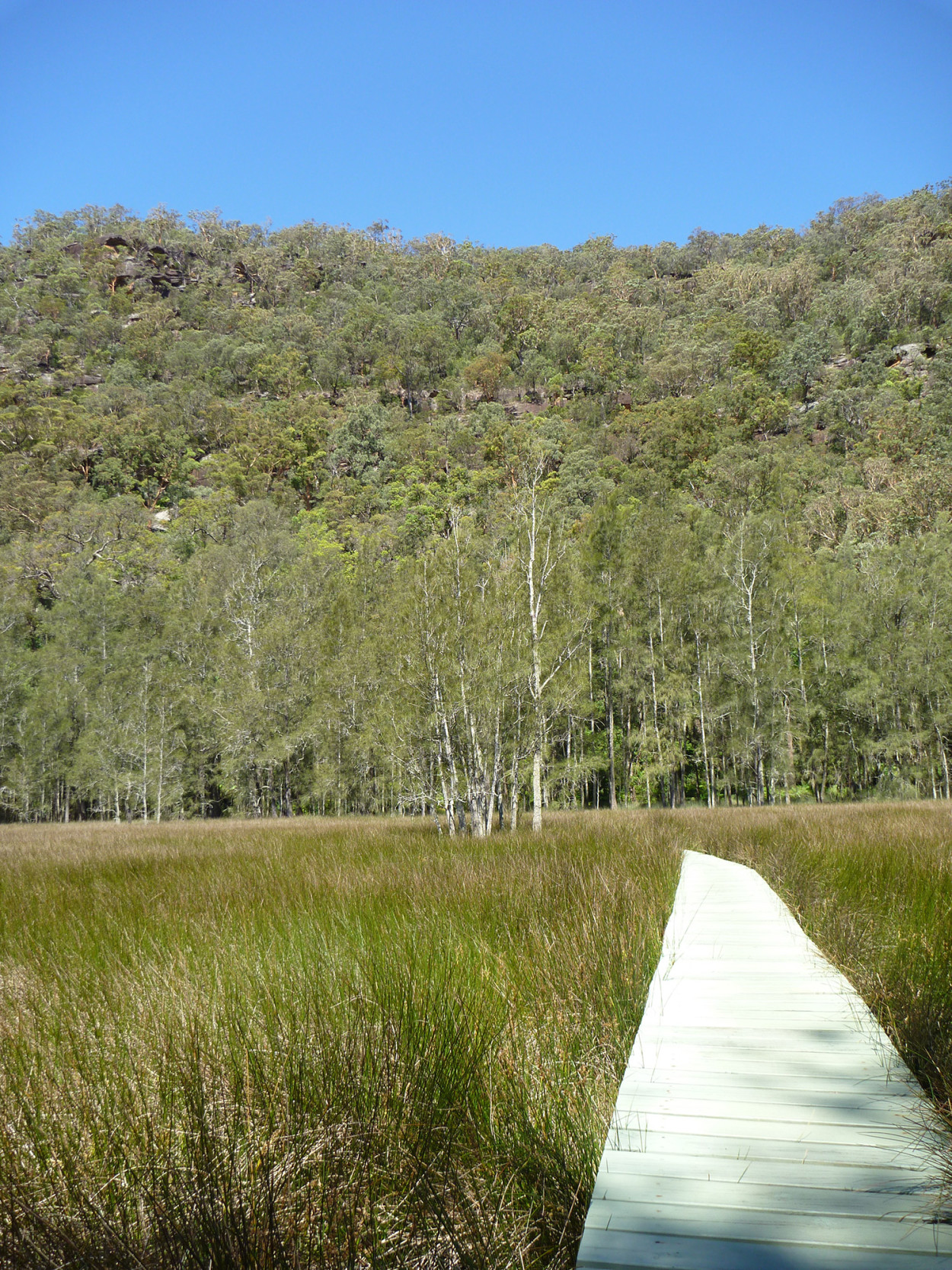 TRACK | The Great North Walk