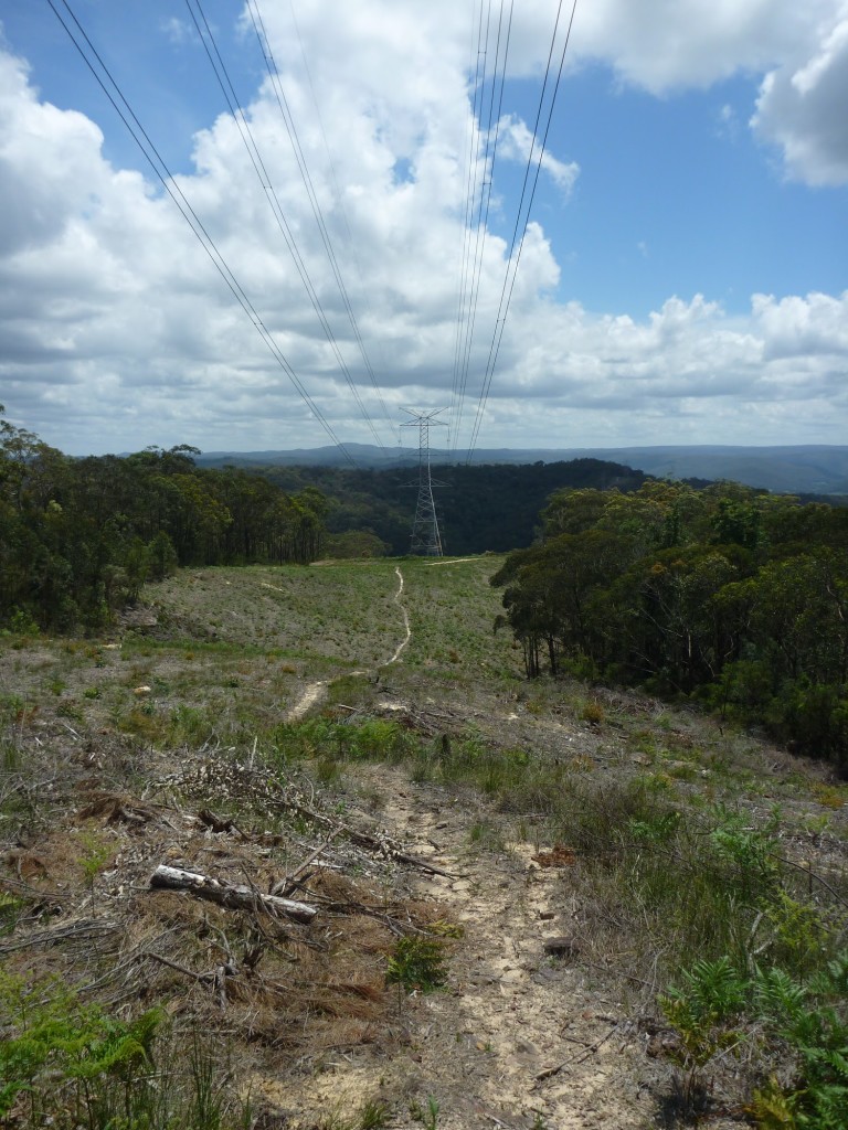18 | Bumble Hill Dray Track | The Great North Walk