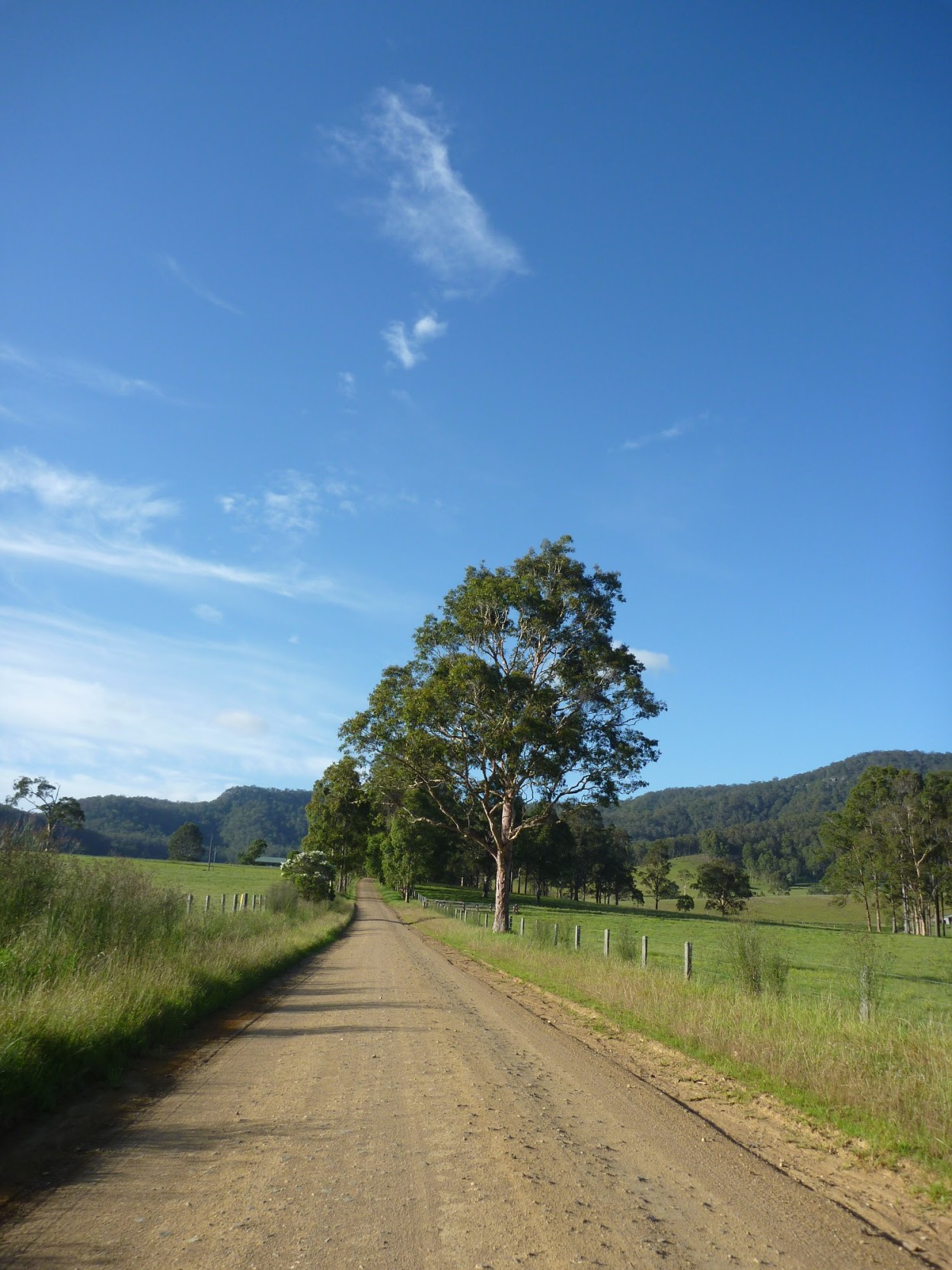 TRACK | The Great North Walk